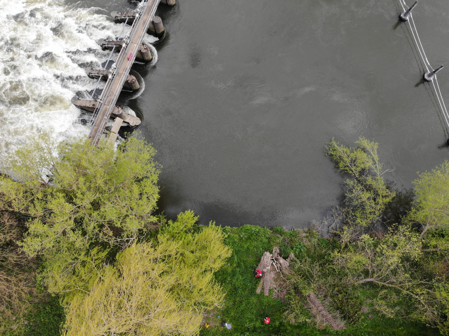 Water Search - BLSAR